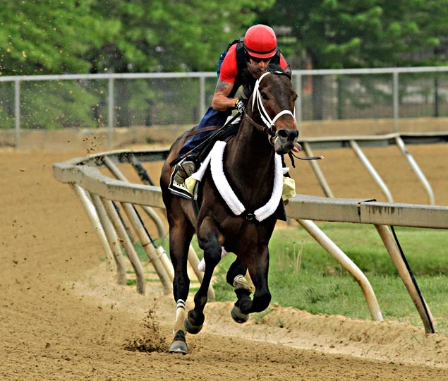Tough task in Preakness Stakes as Ride on Curlin lands another outside post